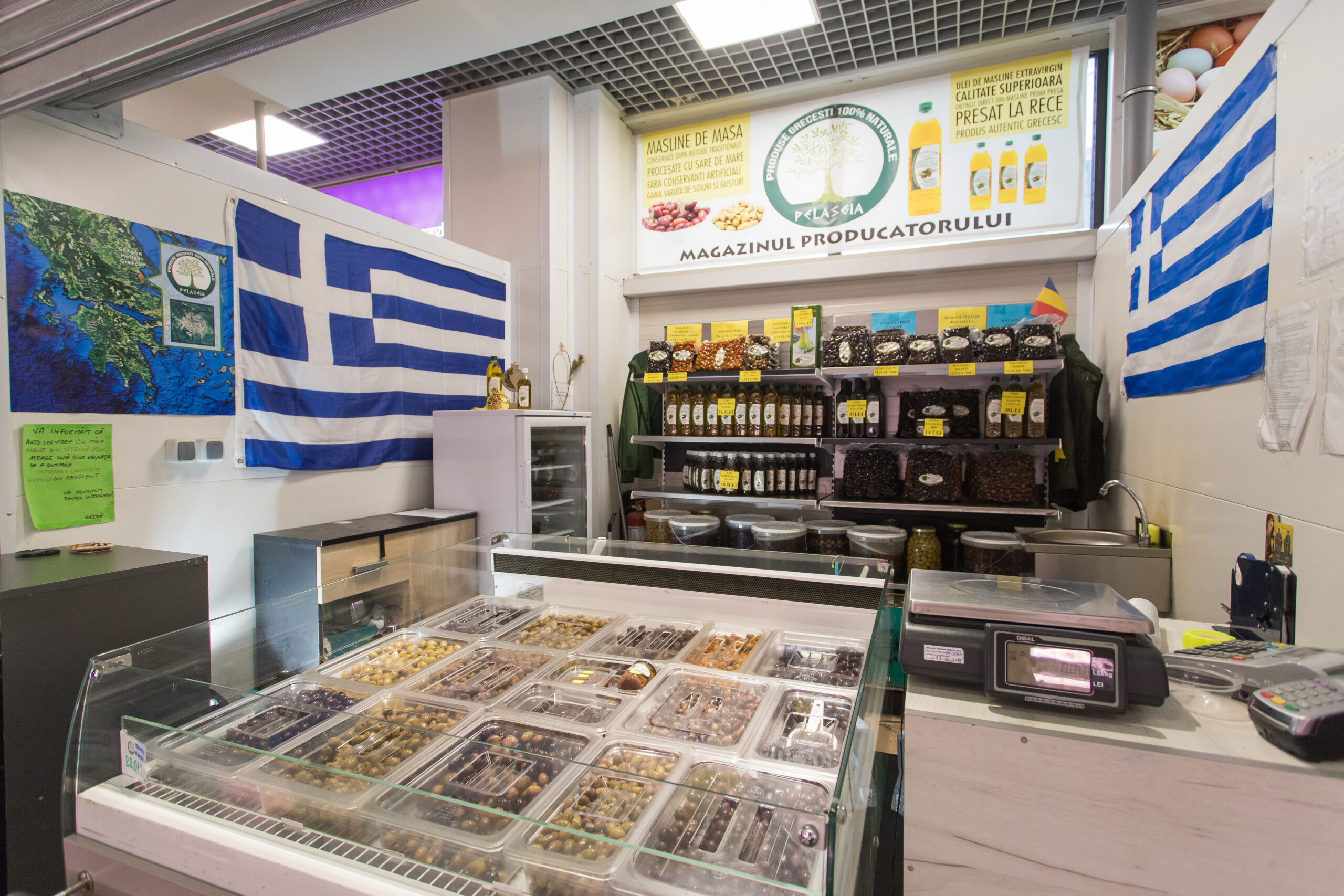 Contact – Măsline la Grecu